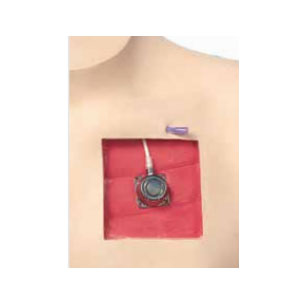 Deluxe Venous Access Device Model - LabWorld.co.uk